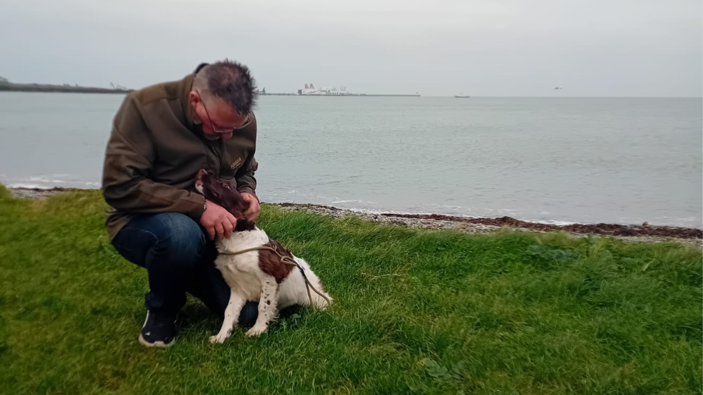 Puppy Update: Dano Begins His New Adventure in Ireland – Kugae Gundogs ...